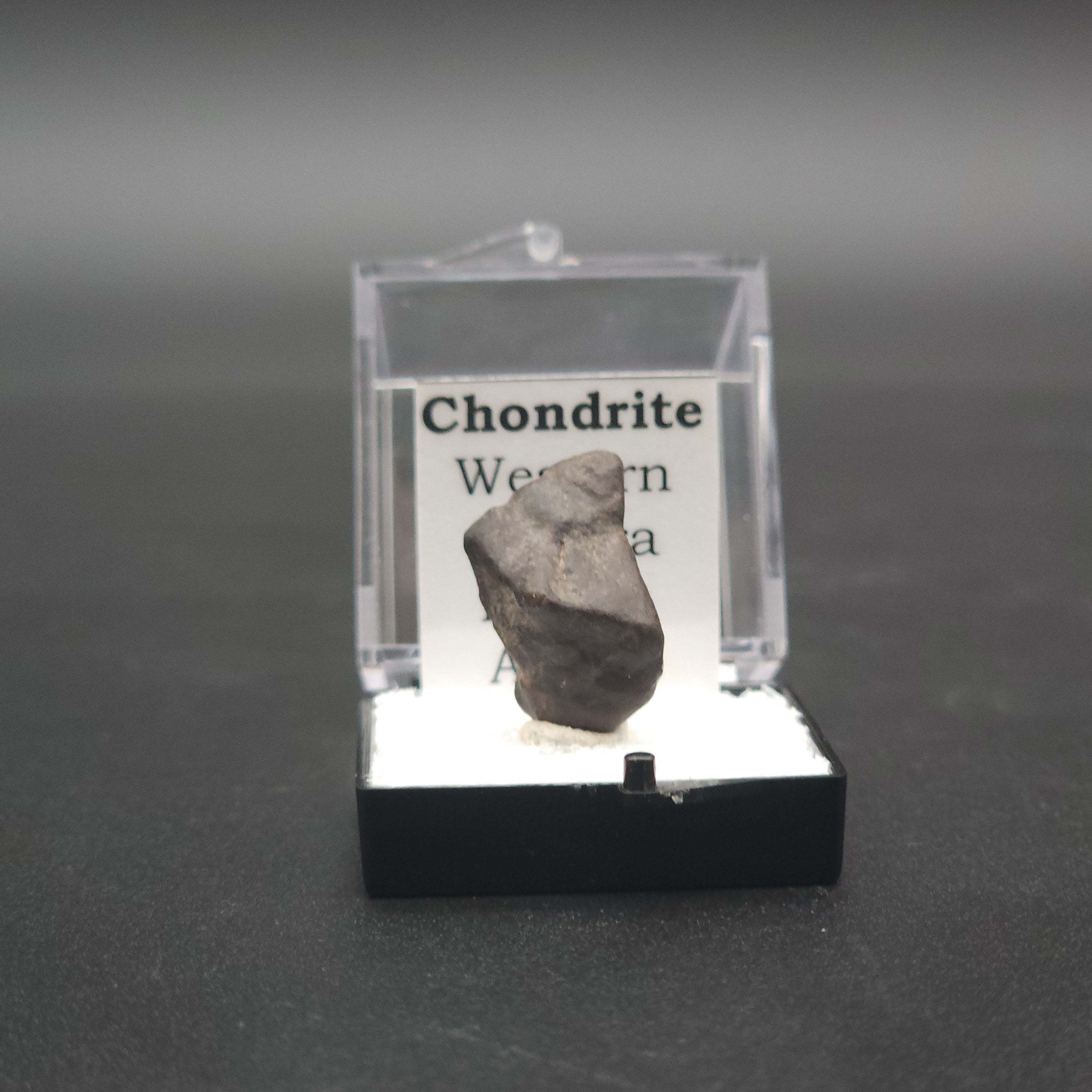 5 gram Chondrite Meteorite Specimen - Sahara Desert – Fossil Oasis