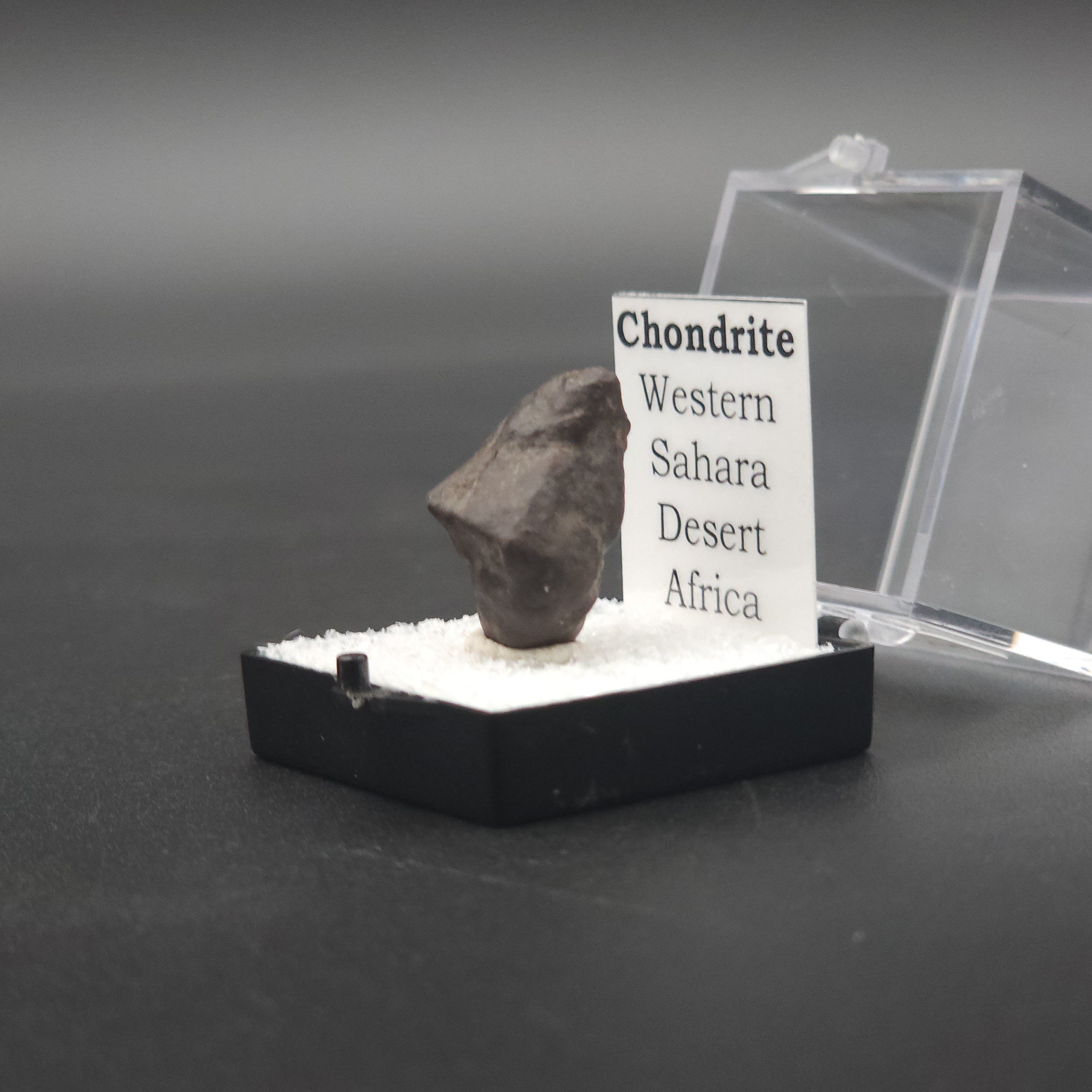 5 gram Chondrite Meteorite Specimen - Sahara Desert – Fossil Oasis