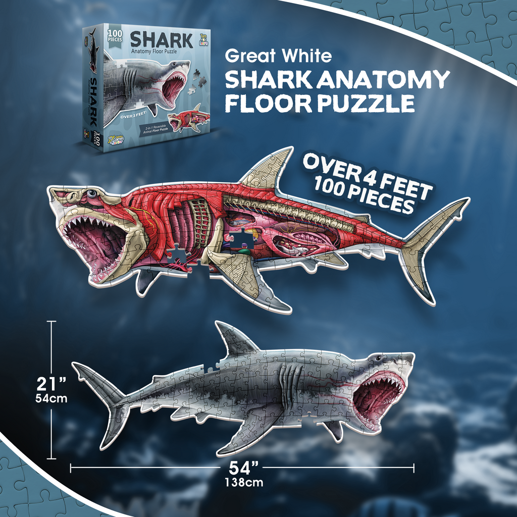 Shark Animal Anatomy Floor Puzzle | 100-Piece Double Sided Jigsaw Puzz ...